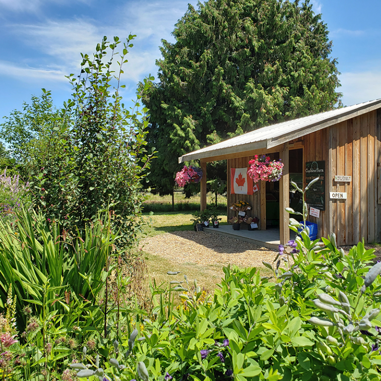Cropthorne Farm – Cropthorne Farm